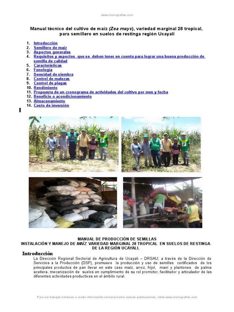 Manual Tecnico Del Cultivo Maiz Zea Mays Variedad Marginal 28 Tropical ... Manual Tecnico Del Cultivo Maiz Zea Mays Variedad Marginal 28 Tropical ...