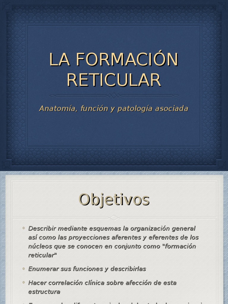 Formación Reticular: Anatomía y Funciones | PDF | Tálamo | Cerebelo