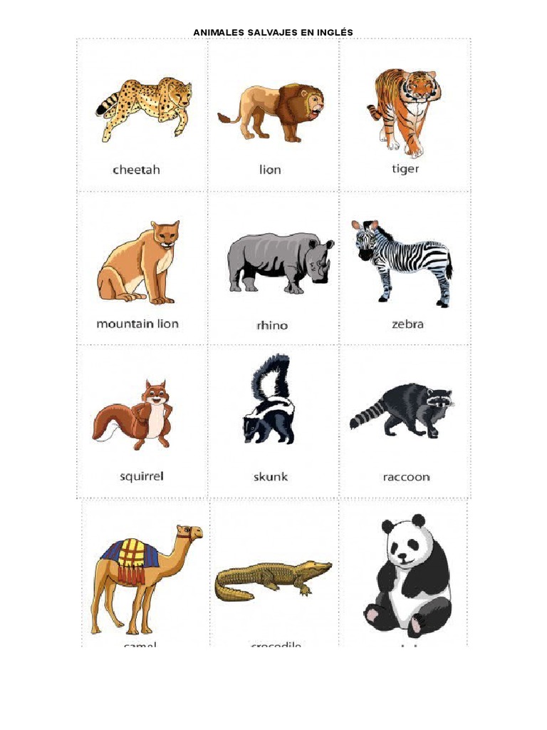 Animales Salvajes En Inglés