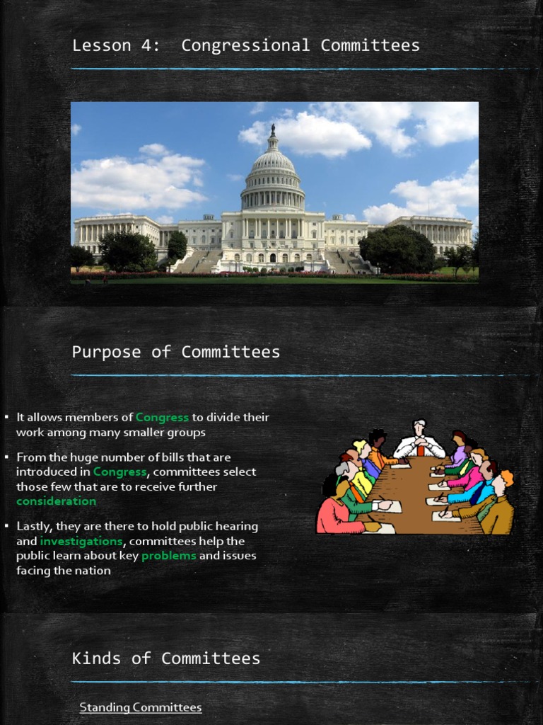 Lesson 4-Congresstional Committees | PDF