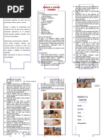 Triptico Borrador Casero | PDF
