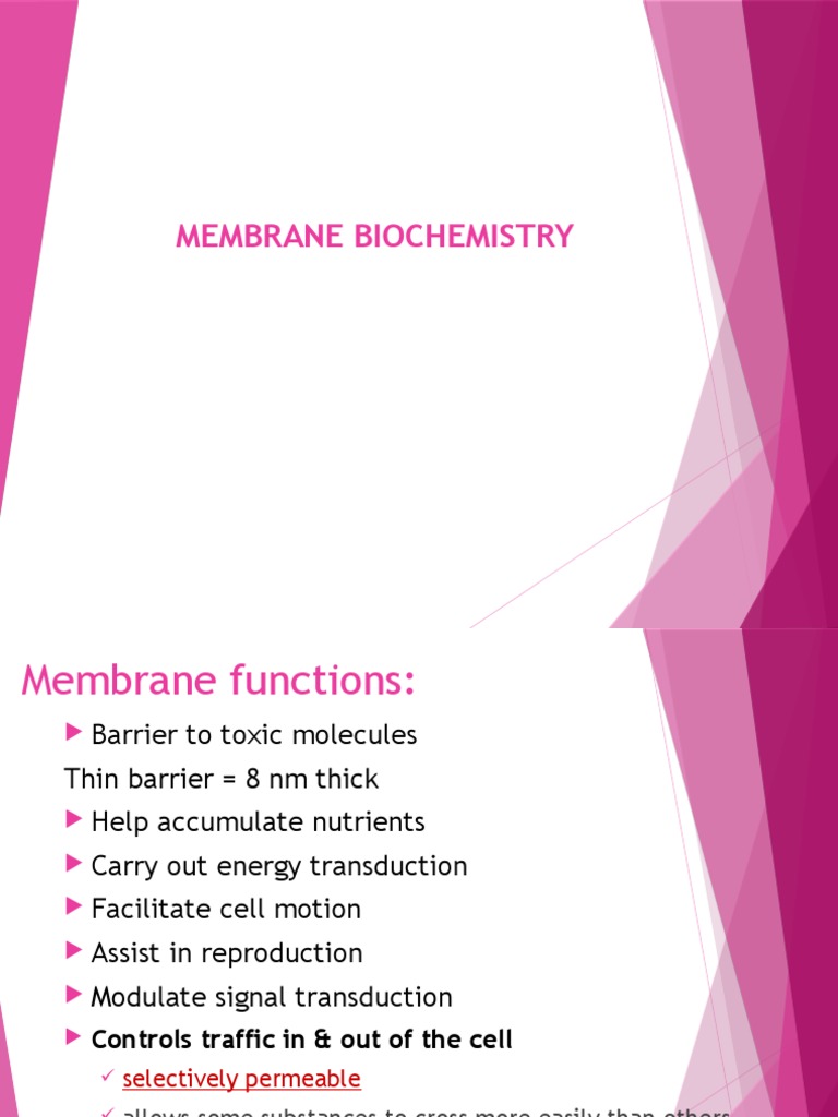 Phospholipid Structure in Membrane Biochemistry | PDF | Cell Membrane ...