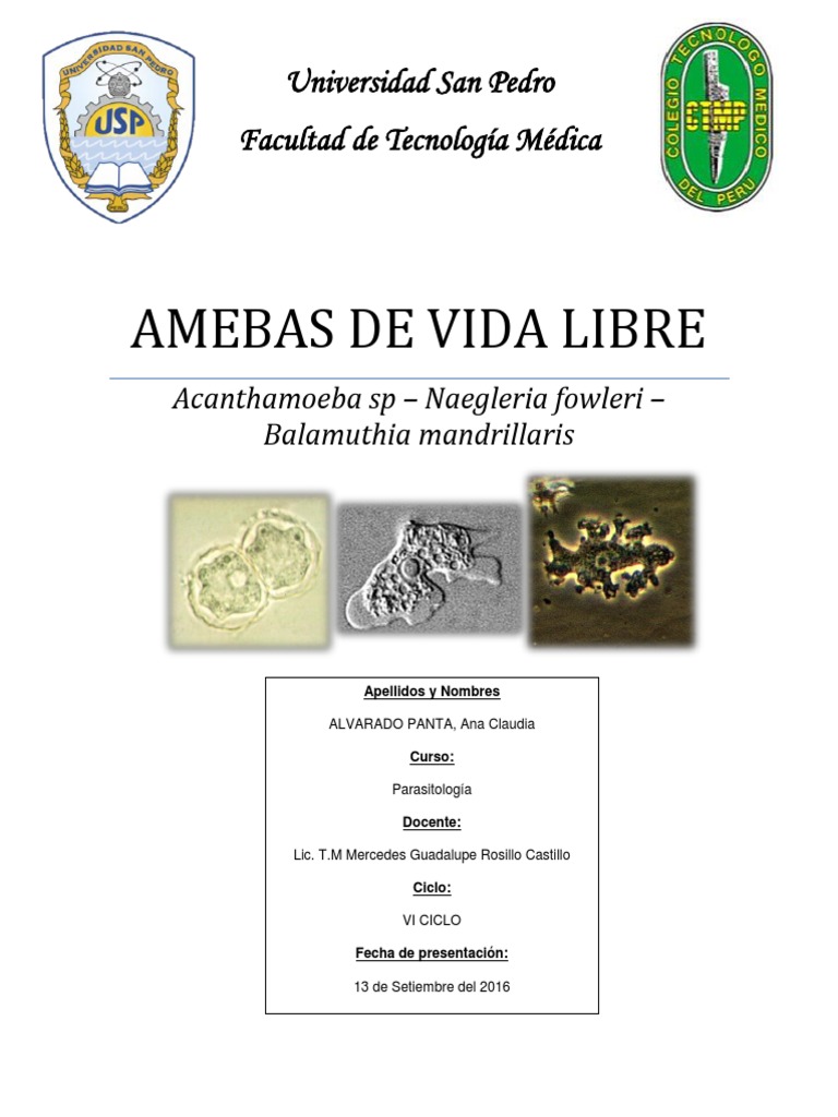 Amebas de Vida Libre PDF | PDF | Especialidades Medicas | Medicina