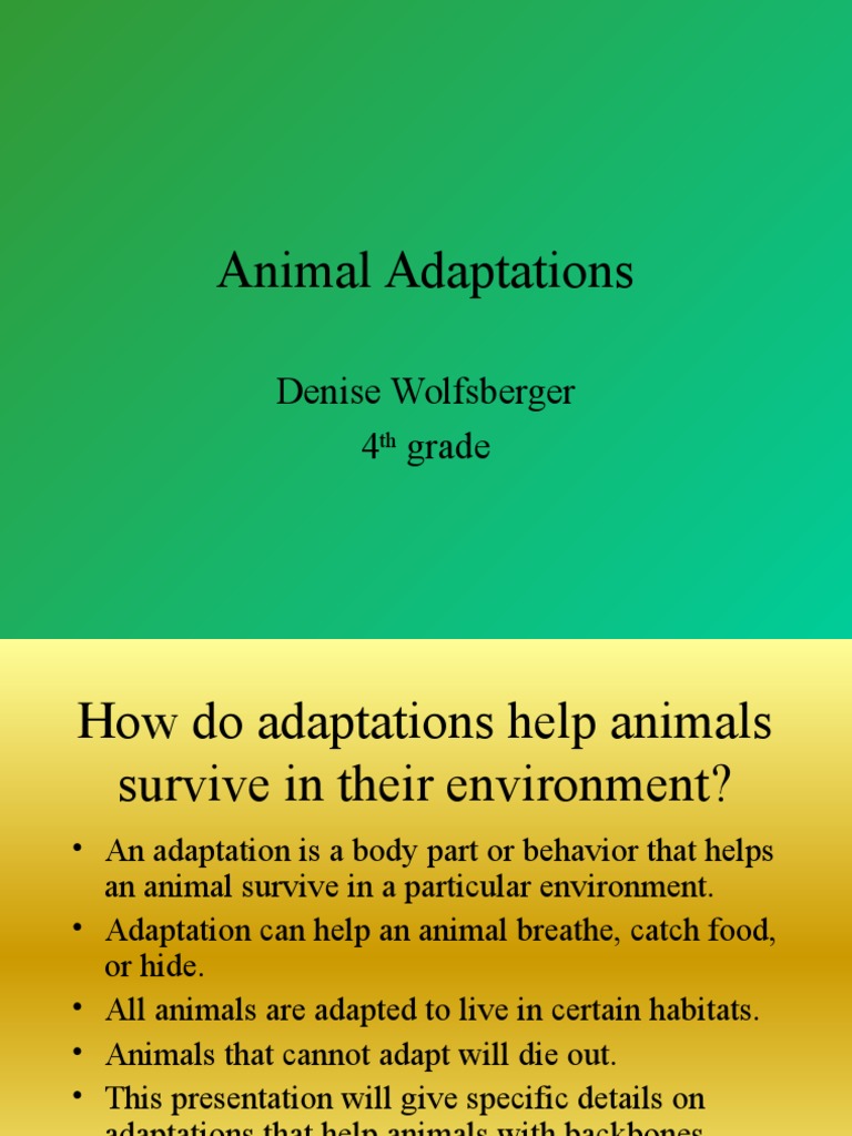 Animal Adaptations for Survival | PDF