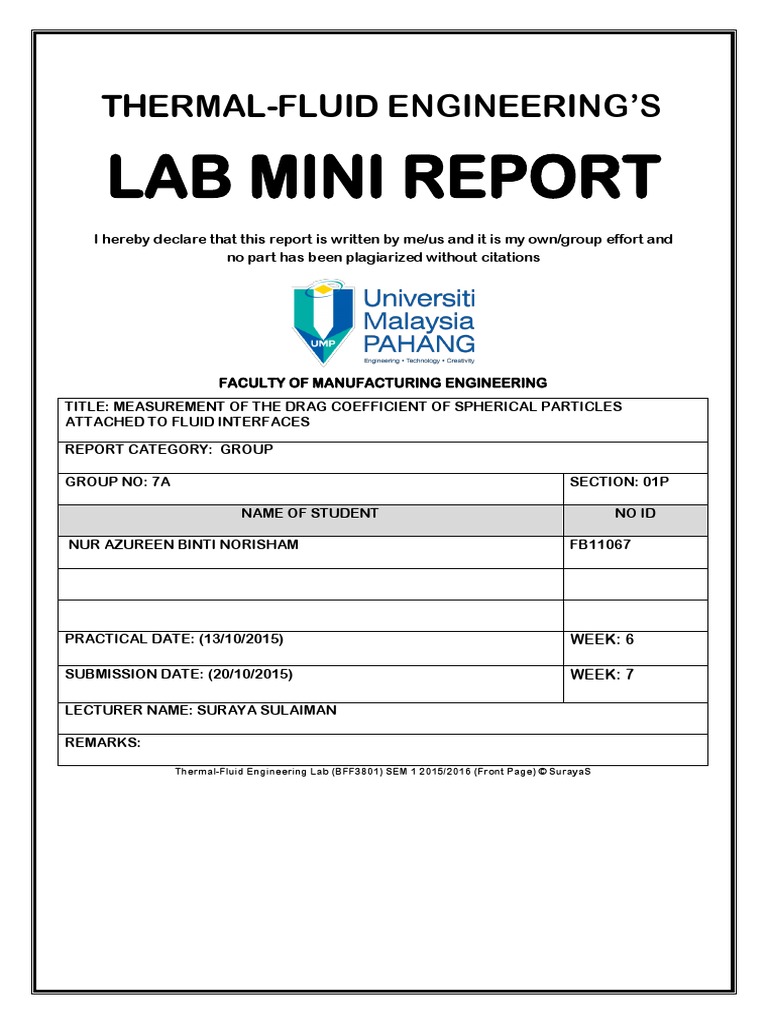 Lab Mini Report: Thermal-Fluid Engineering'S | PDF | Reynolds Number ...