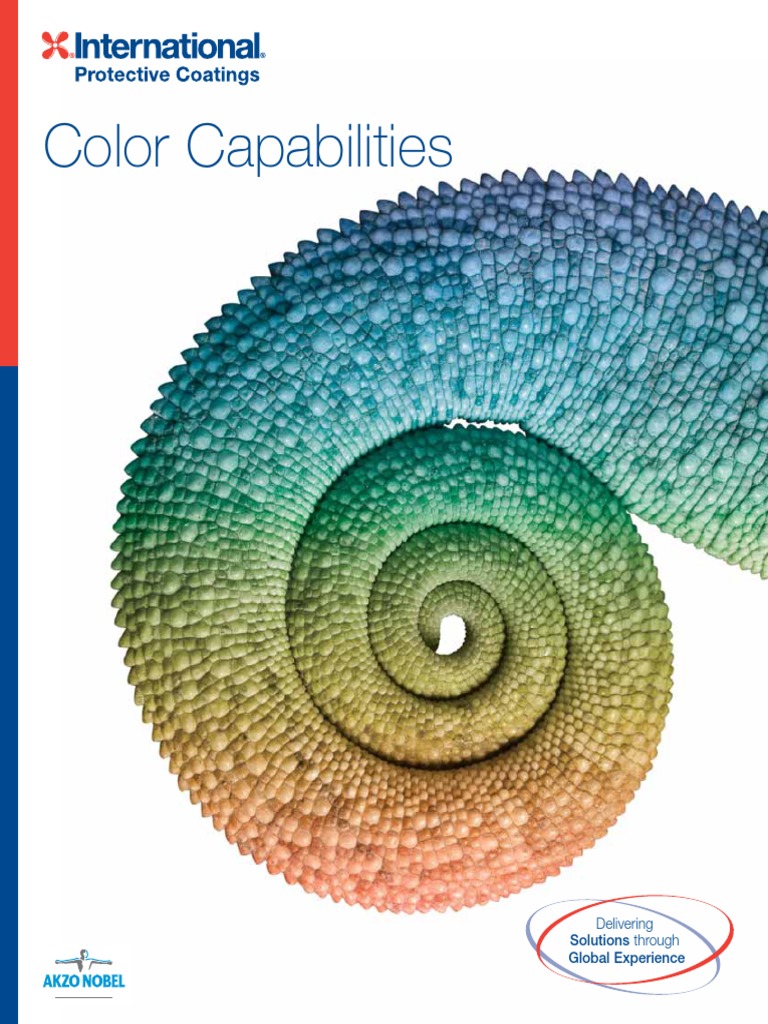 Color Capabilities: Solutions Through Global Experience | PDF ...