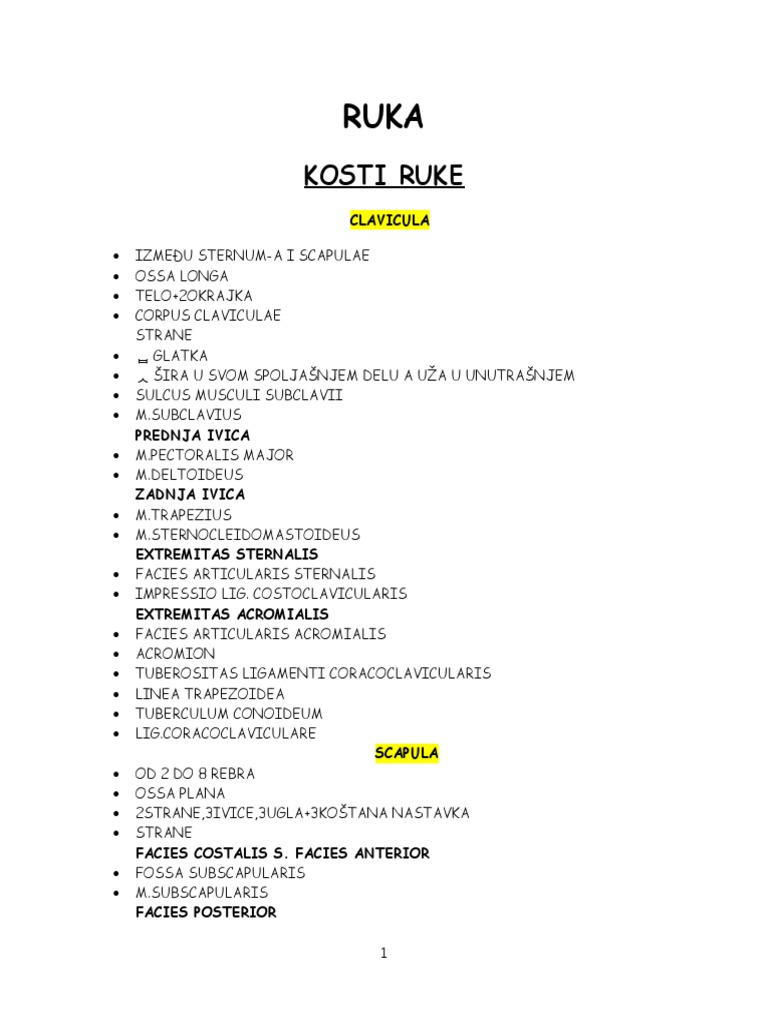 Anatomija Ruke | PDF