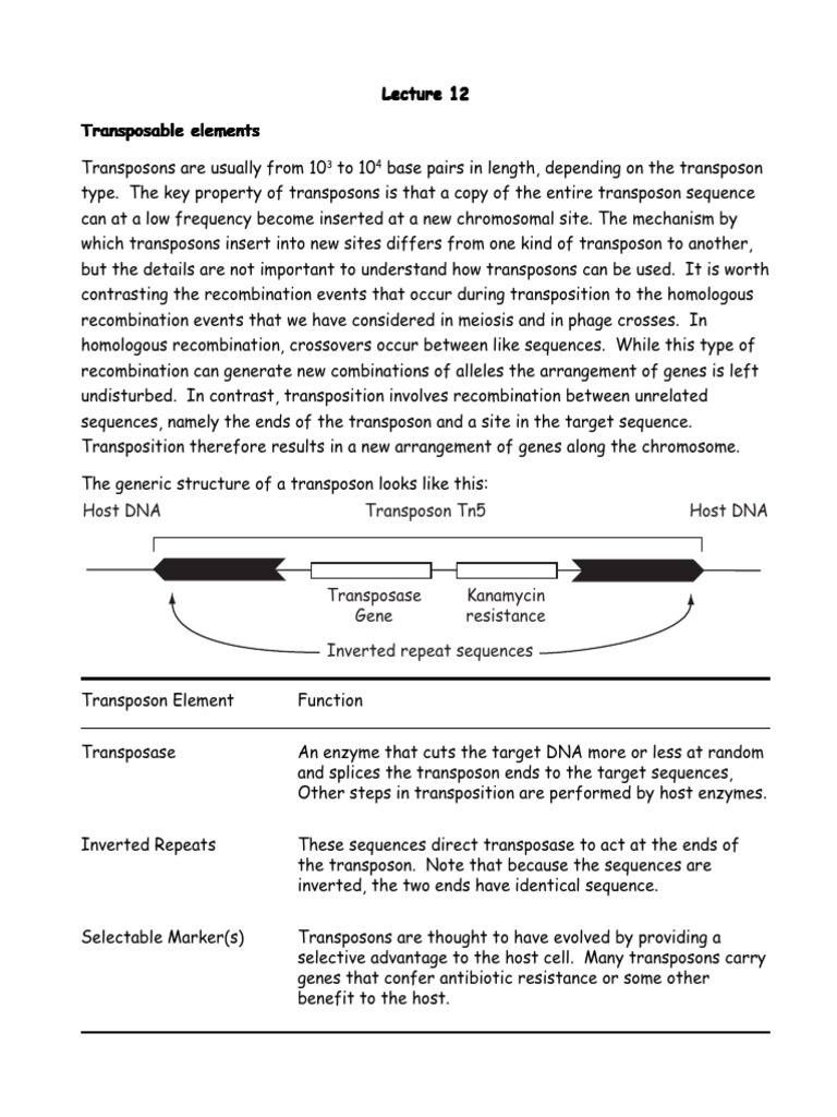 Transposon Element Lecture | PDF | Transposable Element | Genetic Recombination