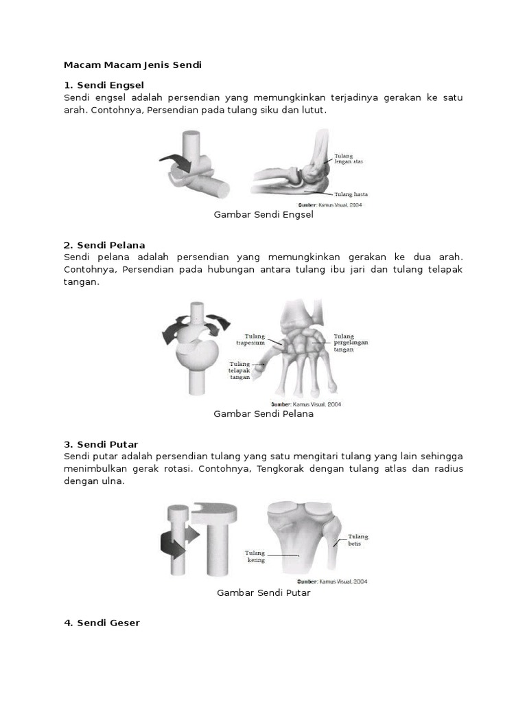Macam Macam Jenis Sendi | PDF