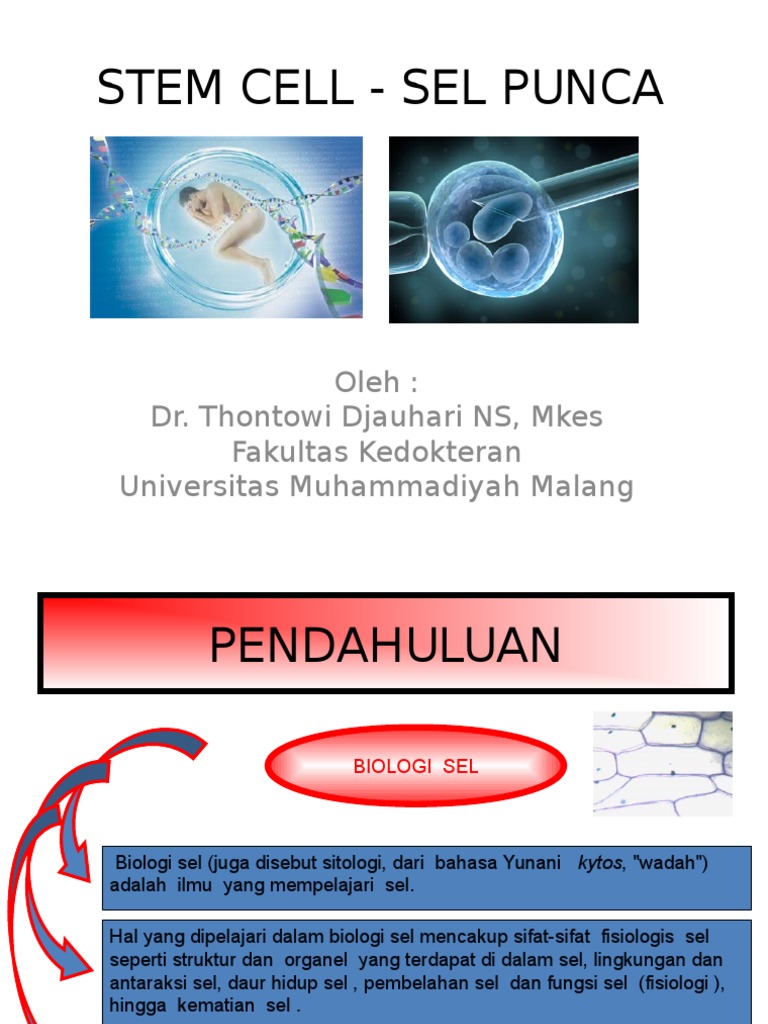 Stem Cell - Sel Punca Presentasi | PDF | Ilmu Sosial | Kesehatan Holistik