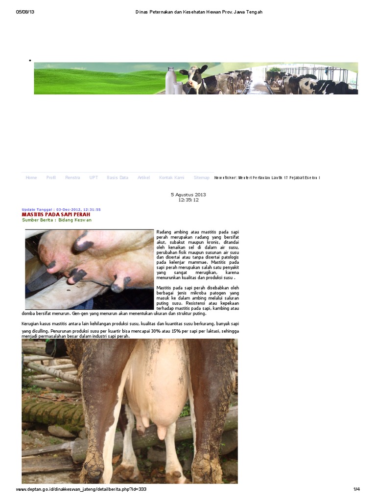 Mastitis Sapi | PDF