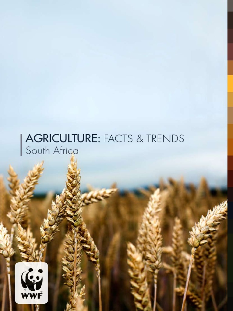 Facts Brochure Mockup 04 B PDF | PDF | Fertilizer | Agriculture