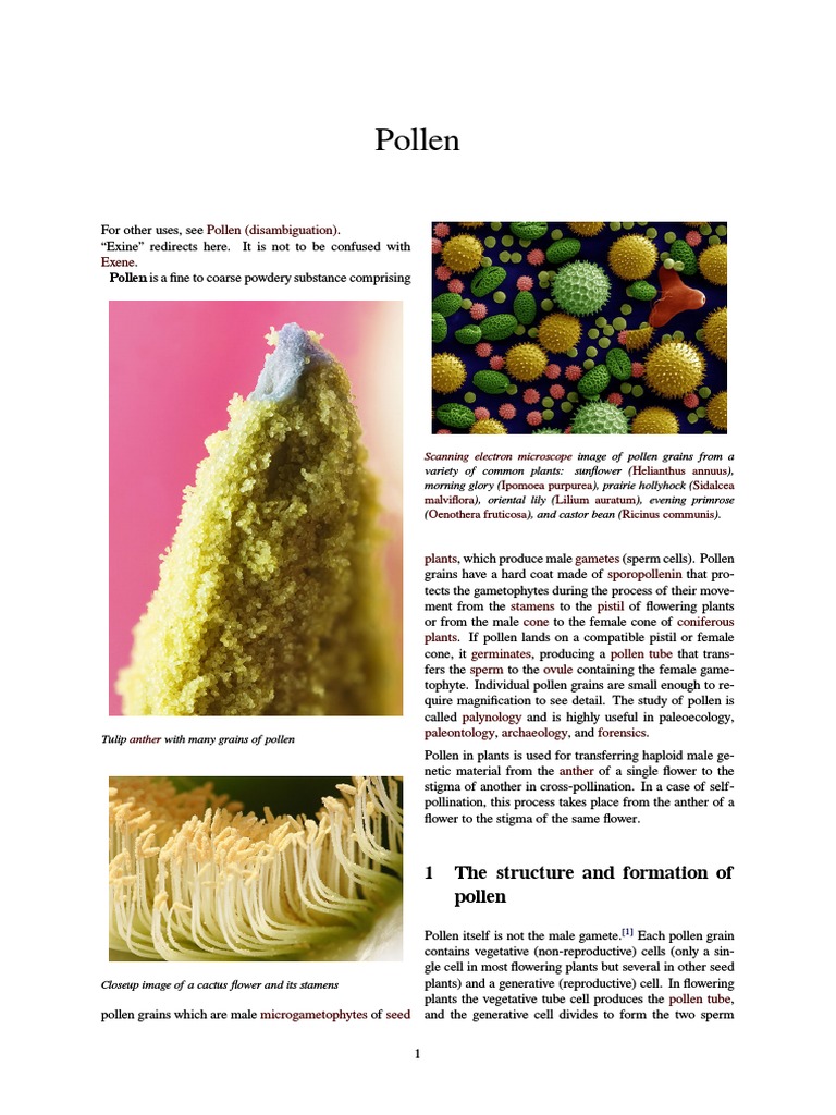 Pollen Wikipedia | Pollen | Plants