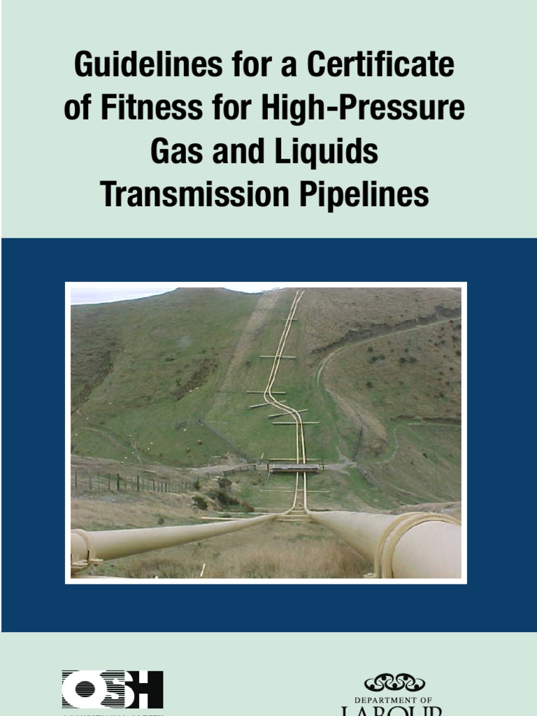 Guidelines For A Certificate of Fitness For High-Pressure Gas and ...