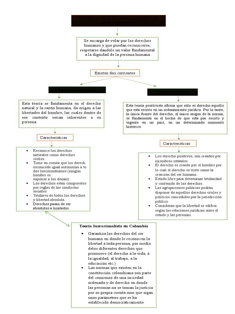 Mapa Conceptual Constitucion | PDF | Derechos | Constitución