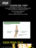 Varo y Valgo de Codo | PDF | Hogar, jardinería y bricolaje | Historia