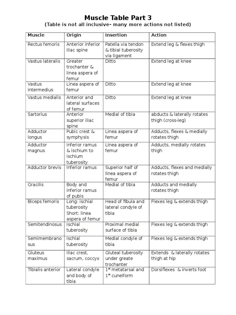 Muscle Table Part 3: (Table Is Not All Inclusive-Many More Actions Not ...