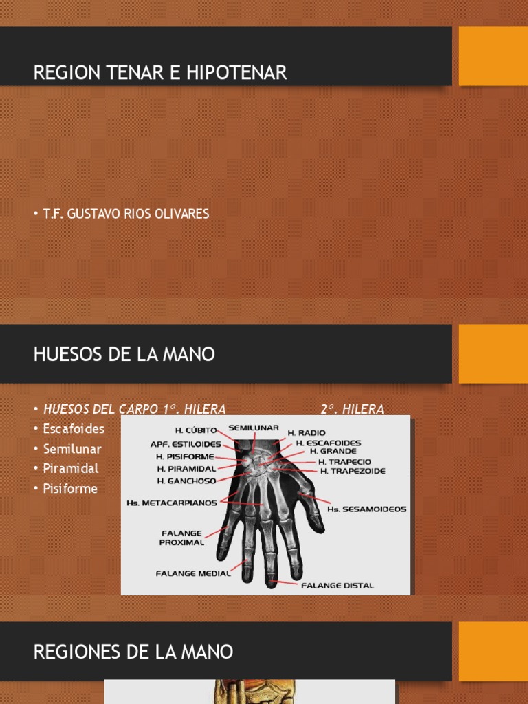 Region Tenar e Hipotenar | PDF