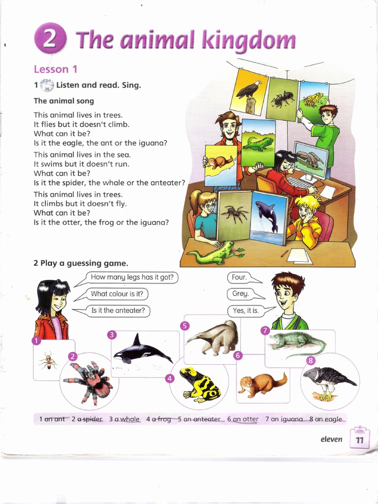 Find Out 5 Unit 20001 PDF | PDF | Predation | Animal Death