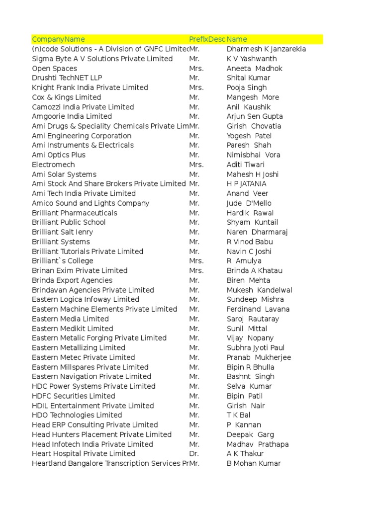 Company Executive Directory Overview | PDF | Chief Executive Officer ...