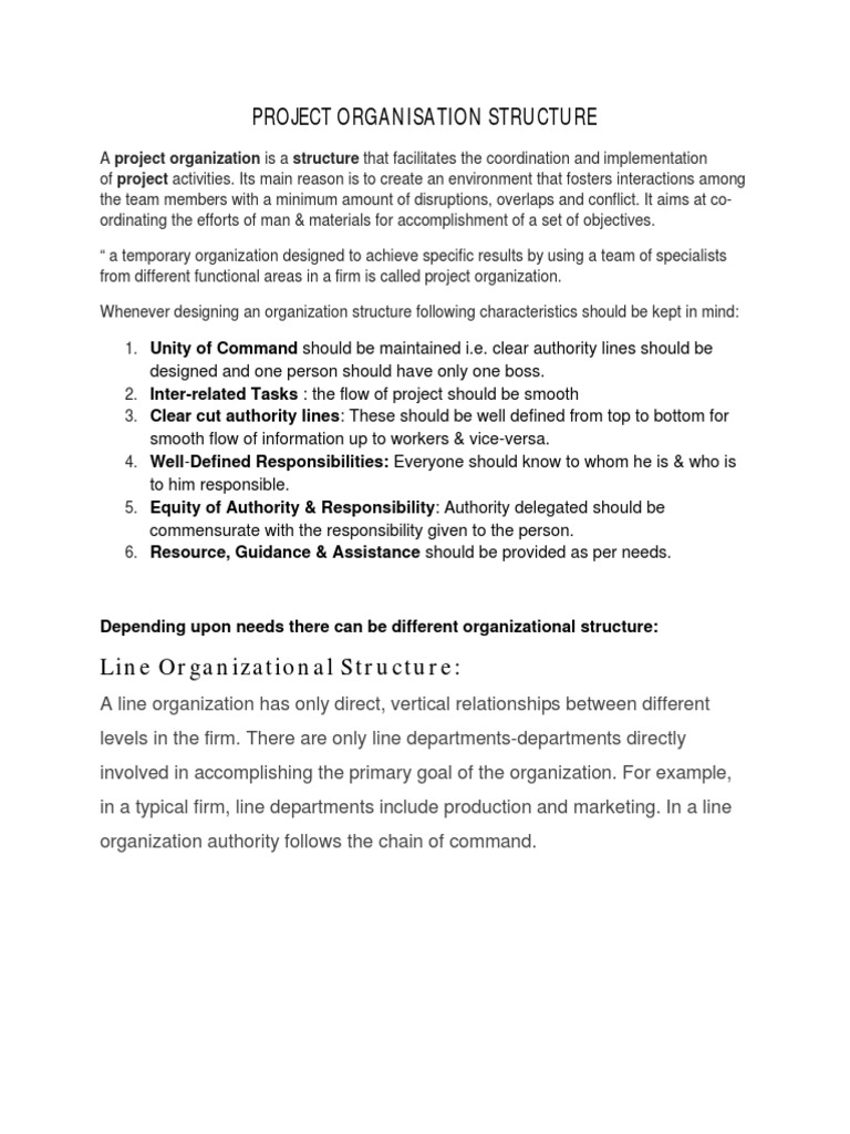 Project Organisation Structure | PDF | Organizational Structure | Expert