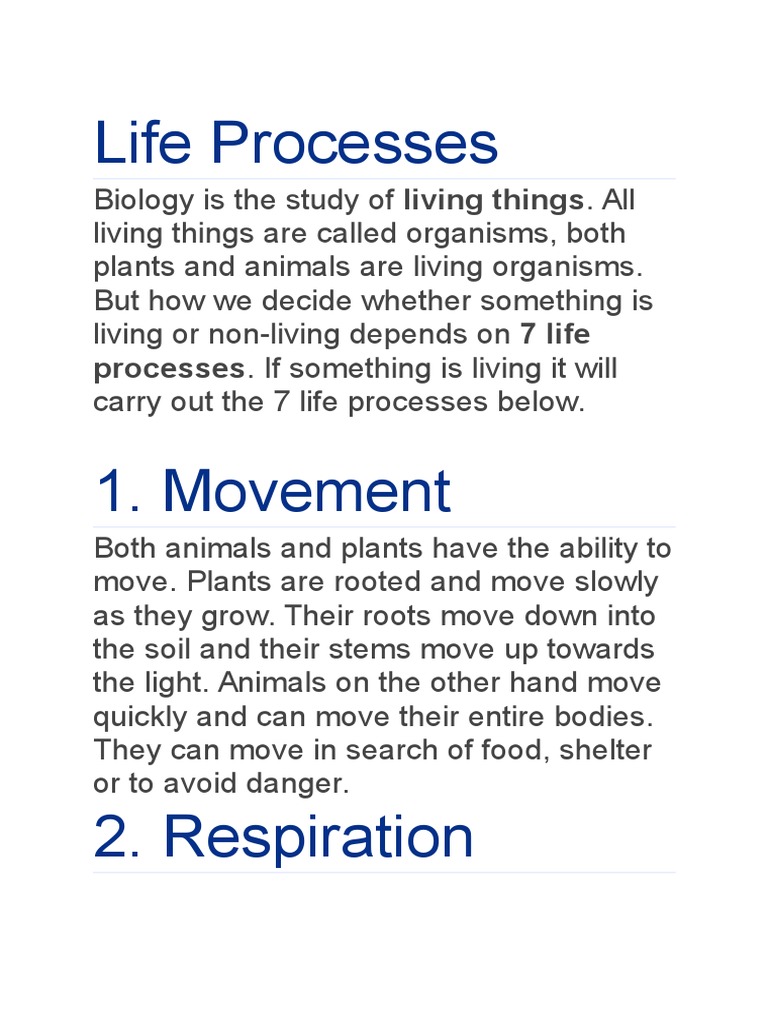 Life Process 2 | PDF