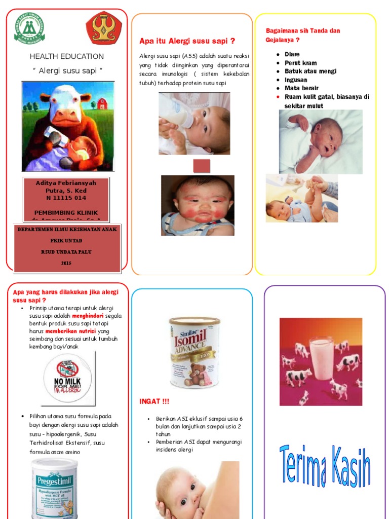LEAFLET-Alergi Susu Sapi | PDF