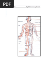 Extraordinary Master Vessels | PDF | Acupuncture | Traditional Chinese ...