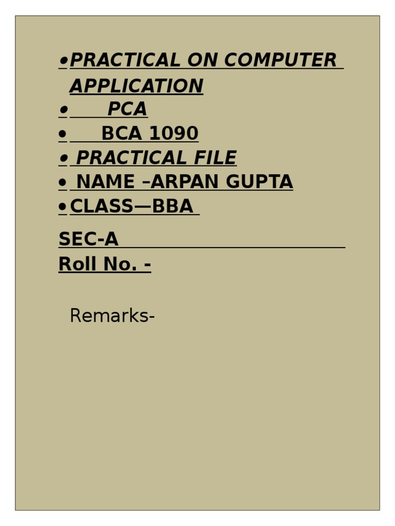 Practical On Computer Application | PDF