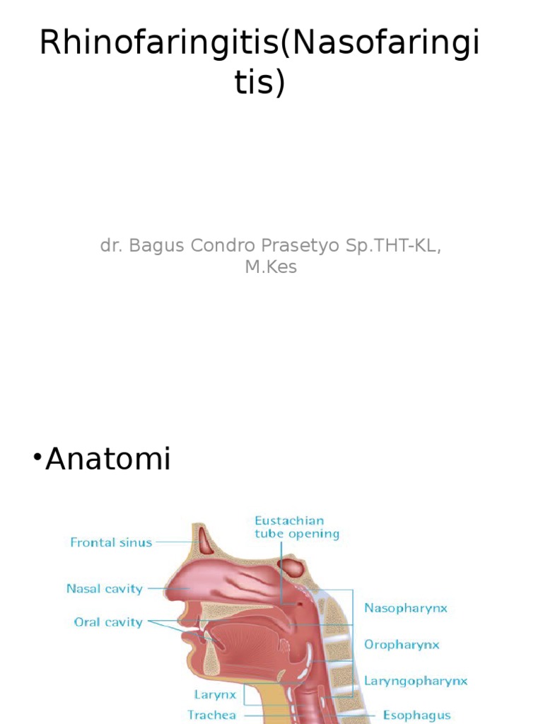 K18 - Rhinofaringitis (Nasofaringitis) | PDF