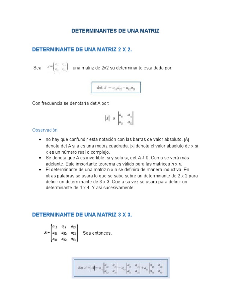 Determinantes de Una Matriz | PDF | Determinante | Matriz (Matemáticas)