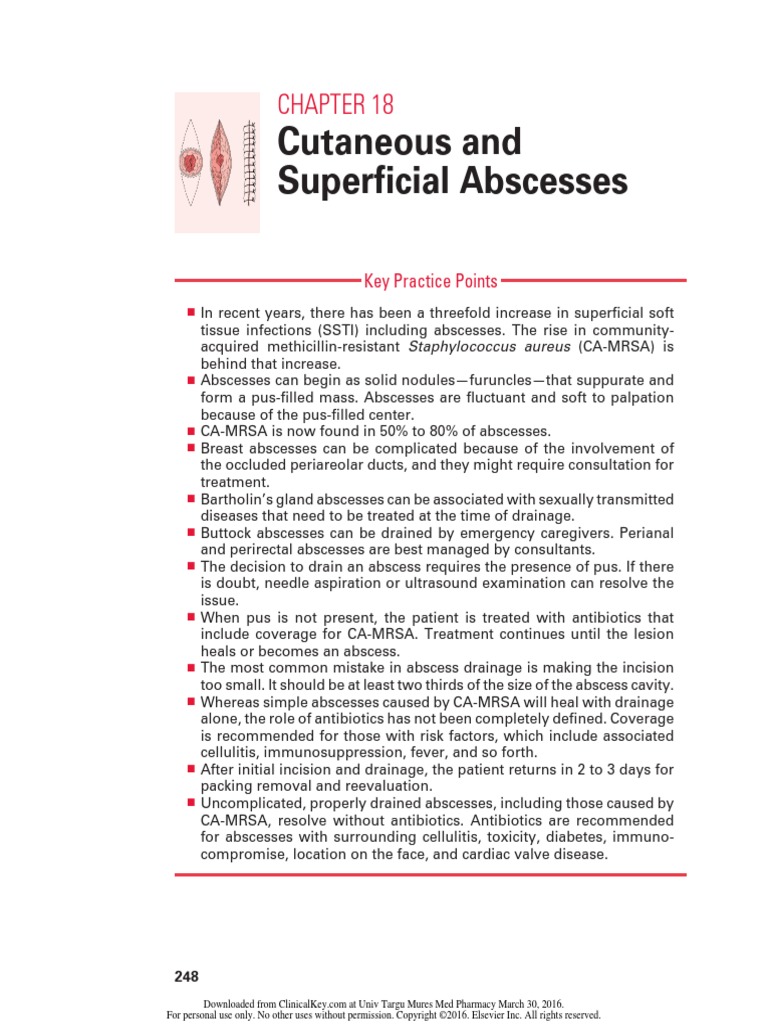 Cutaneous and Superficial Abscesses: Key Practice Points | PDF ...