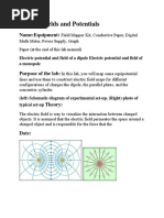 Electric Field and Potential Lab Simulation | PDF | Electric Field ...