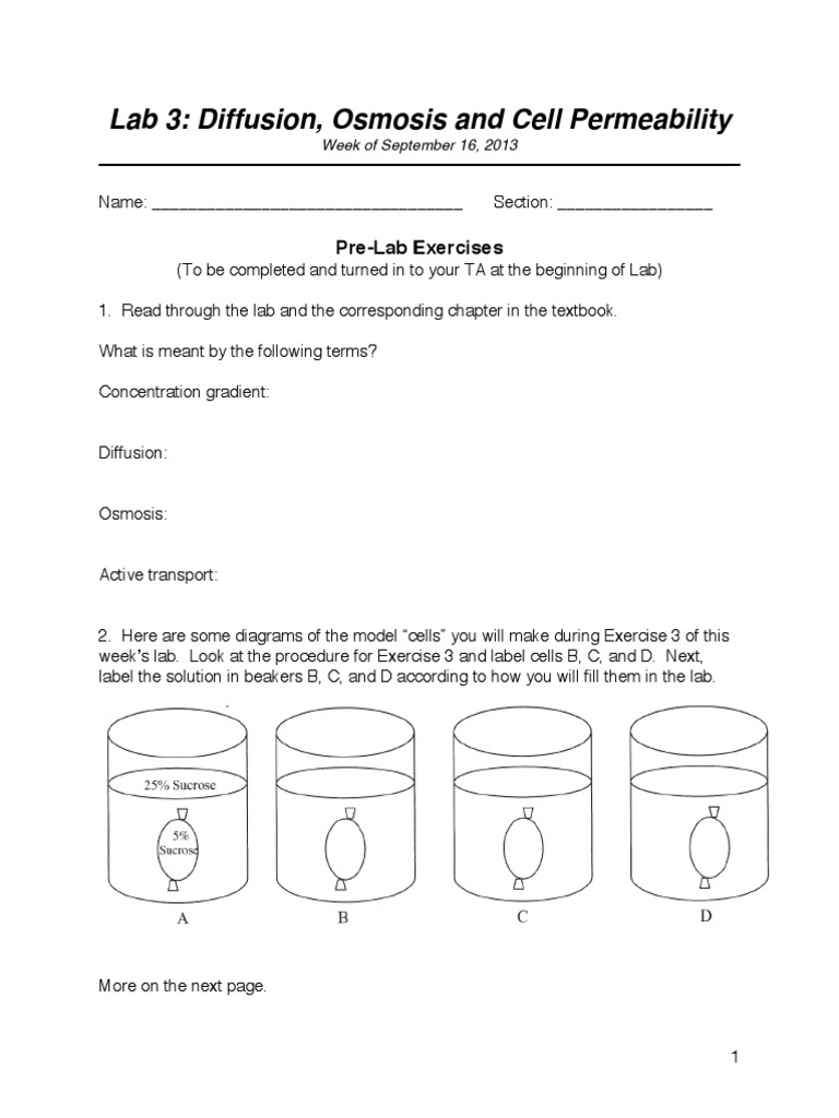 Lab 3 Cell Permeability 2013 | PDF | Osmosis | Applied And ...