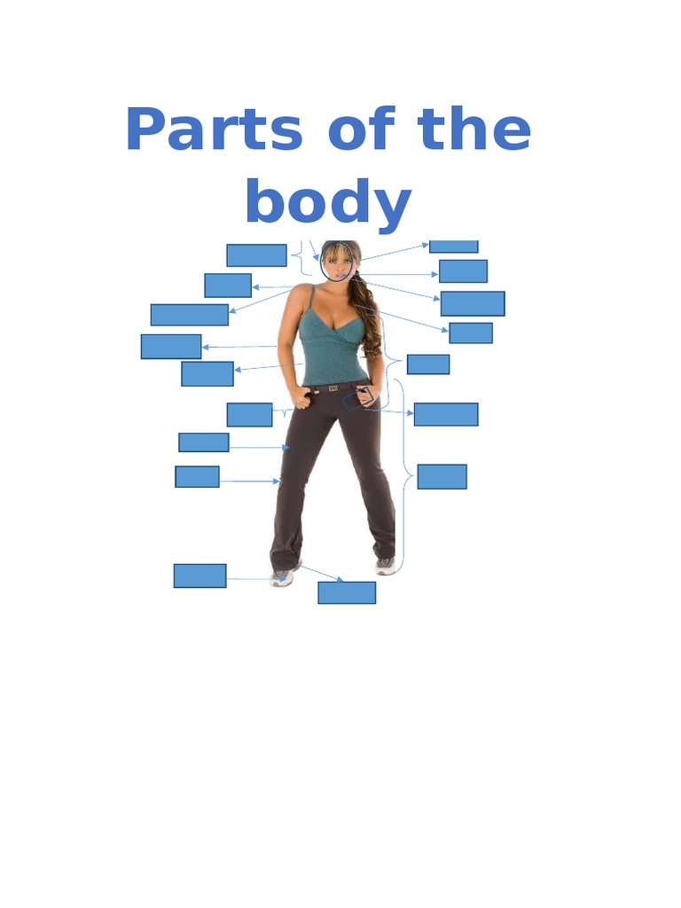 Parts of The Body. | PDF