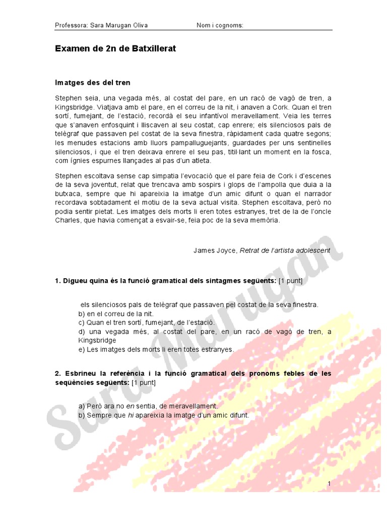 Examen 2n Batxillerat. Llengua I Literatura (Model D) + Solucions | PDF