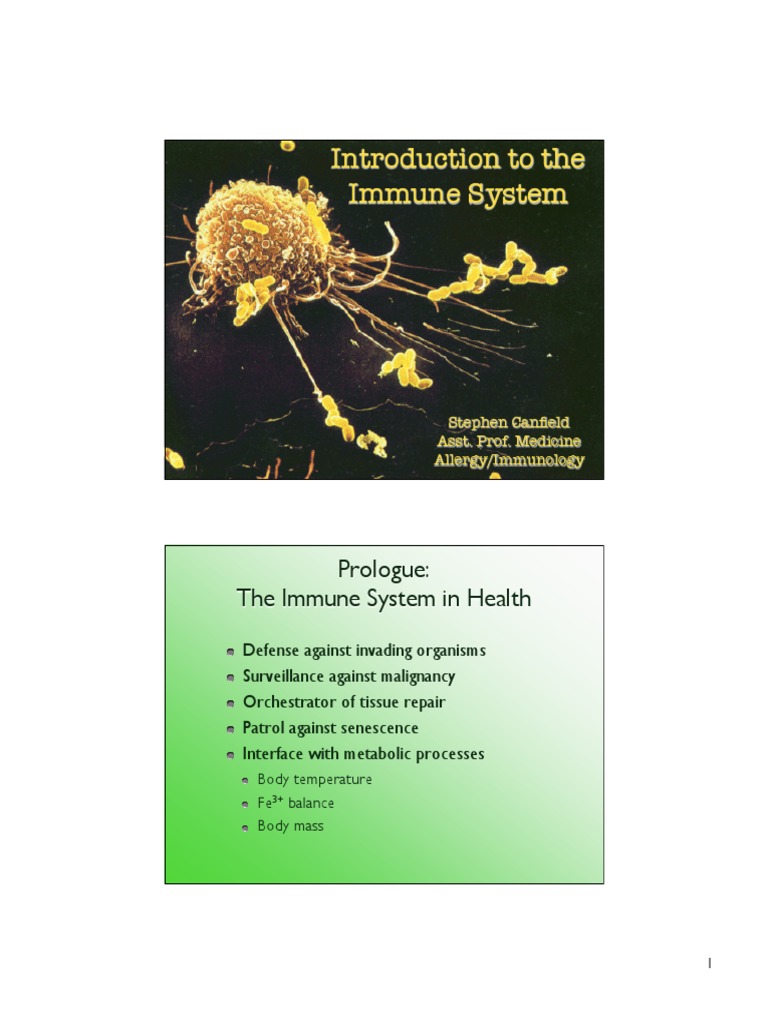 Introduction To The Immune System | PDF | Adaptive Immune System ...