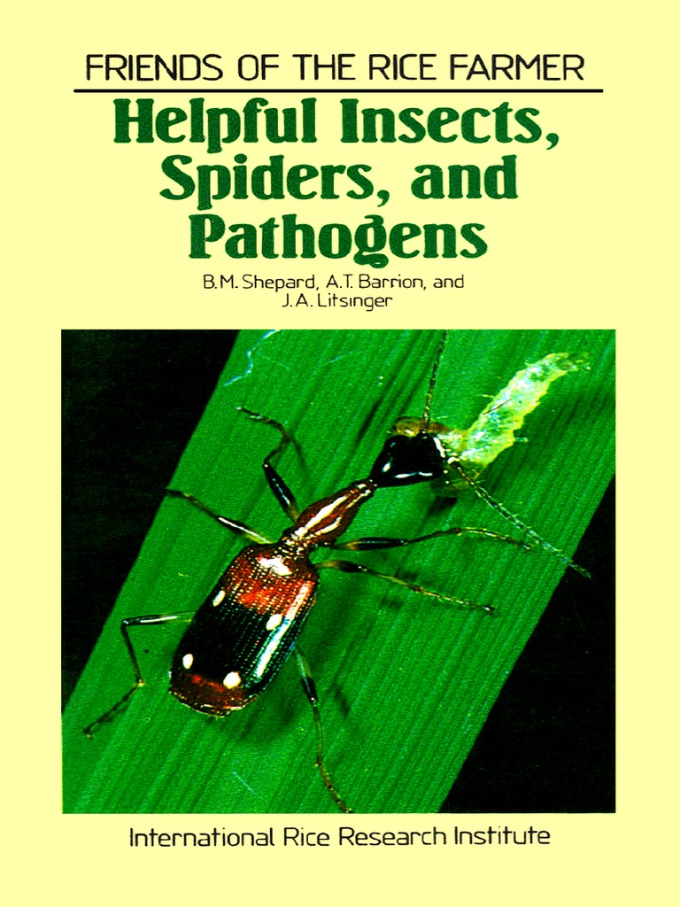 Helpful Insects, Spiders and Pathogens | PDF | Wasp | Pupa