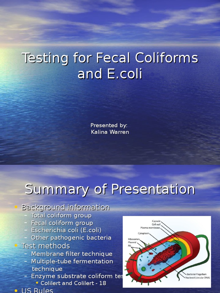 Testing for Fecal Coliform Sande | Microbiology | Prokaryote