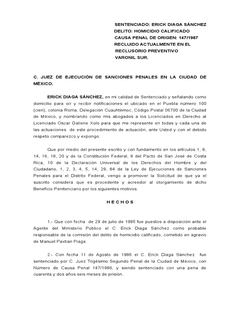 Solicitud Penitenciario Erick | PDF | Prisión | Derecho penal