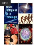 Chocolate Nestlé Almon Ris 12 Pzas 26 G Cu Walmart | PDF | Chocolate