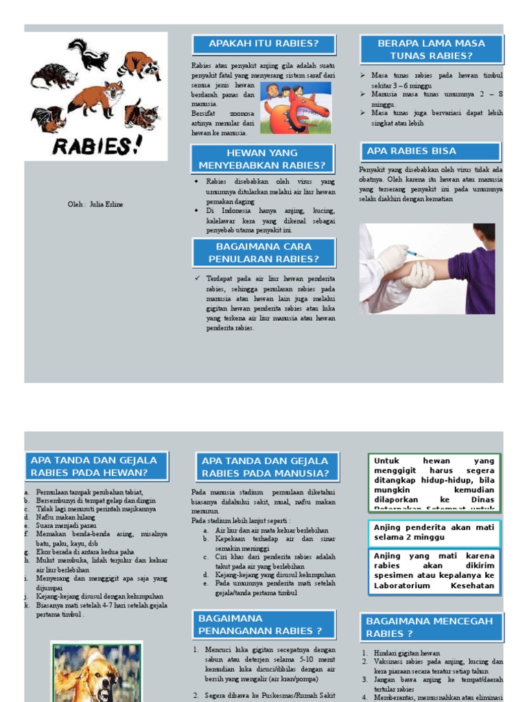 Leaflet Rabies | PDF
