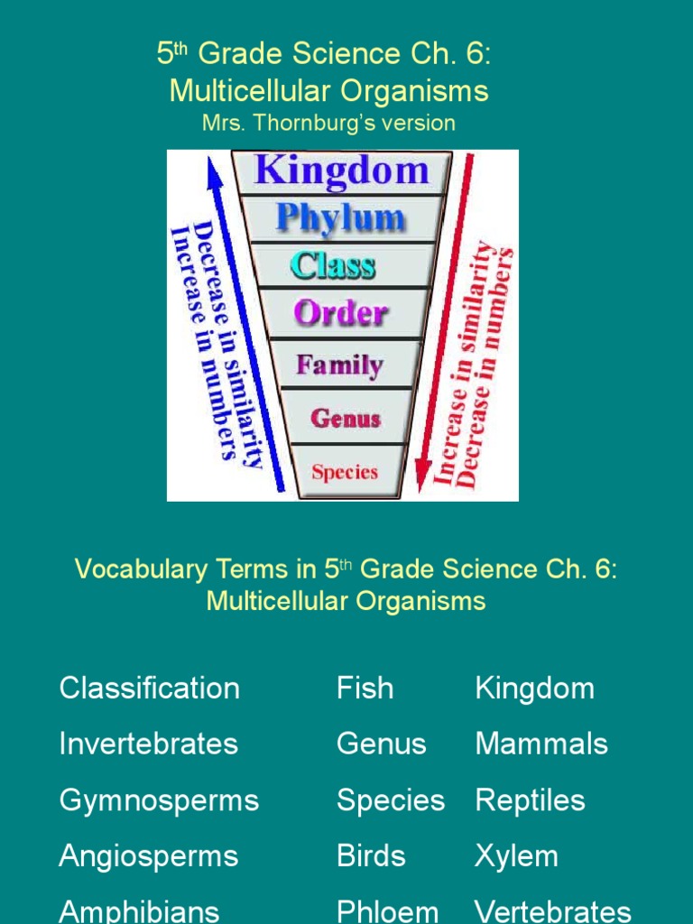 5th Grade Science ch6 Multicellular Organisms 1 | PDF