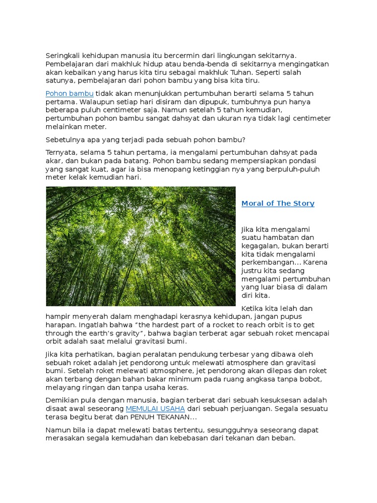 Filosofi Bambu: Pelajaran Hidup dan Keteguhan | PDF | Seni & Disiplin ...