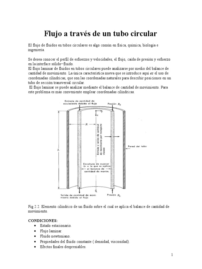 Análisis del flujo en tubos circulares | PDF | Fluido | Movimiento (física)