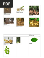 Kannada Project Template | PDF