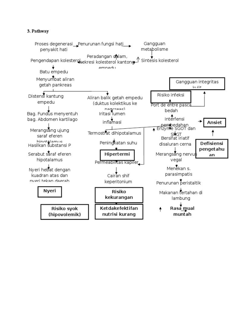 Pathway Kolelitiasis | PDF