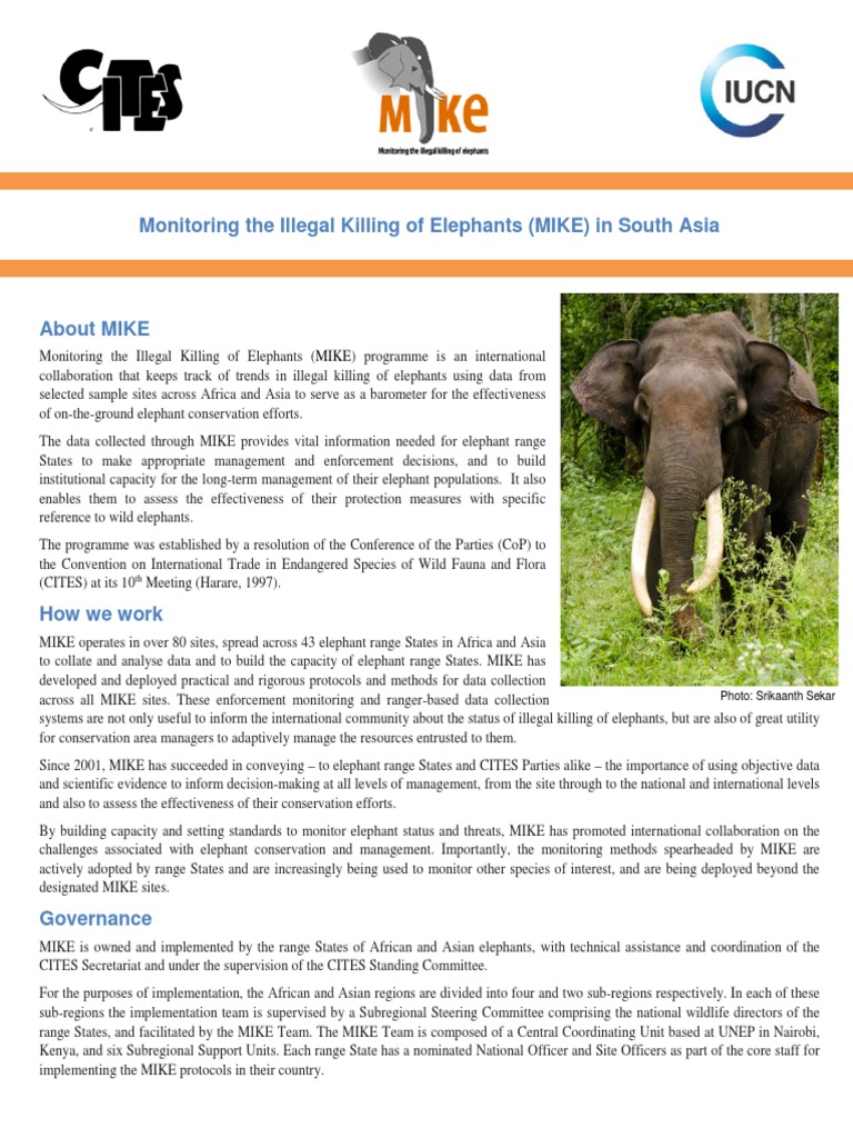 Monitoring The Illegal Killing of Elephants (MIKE) in South Asia | PDF ...