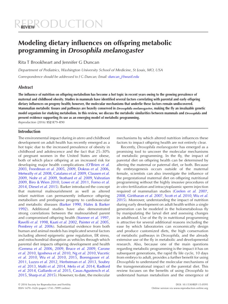 Modeling Dietary Influences On Offspring Metabolic Programming in ...