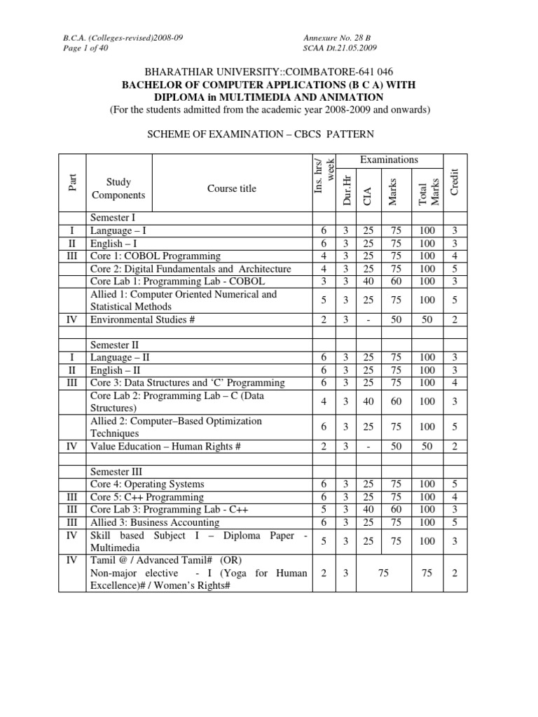 BCA Syllabus | PDF | Pl/Sql | Computer Network